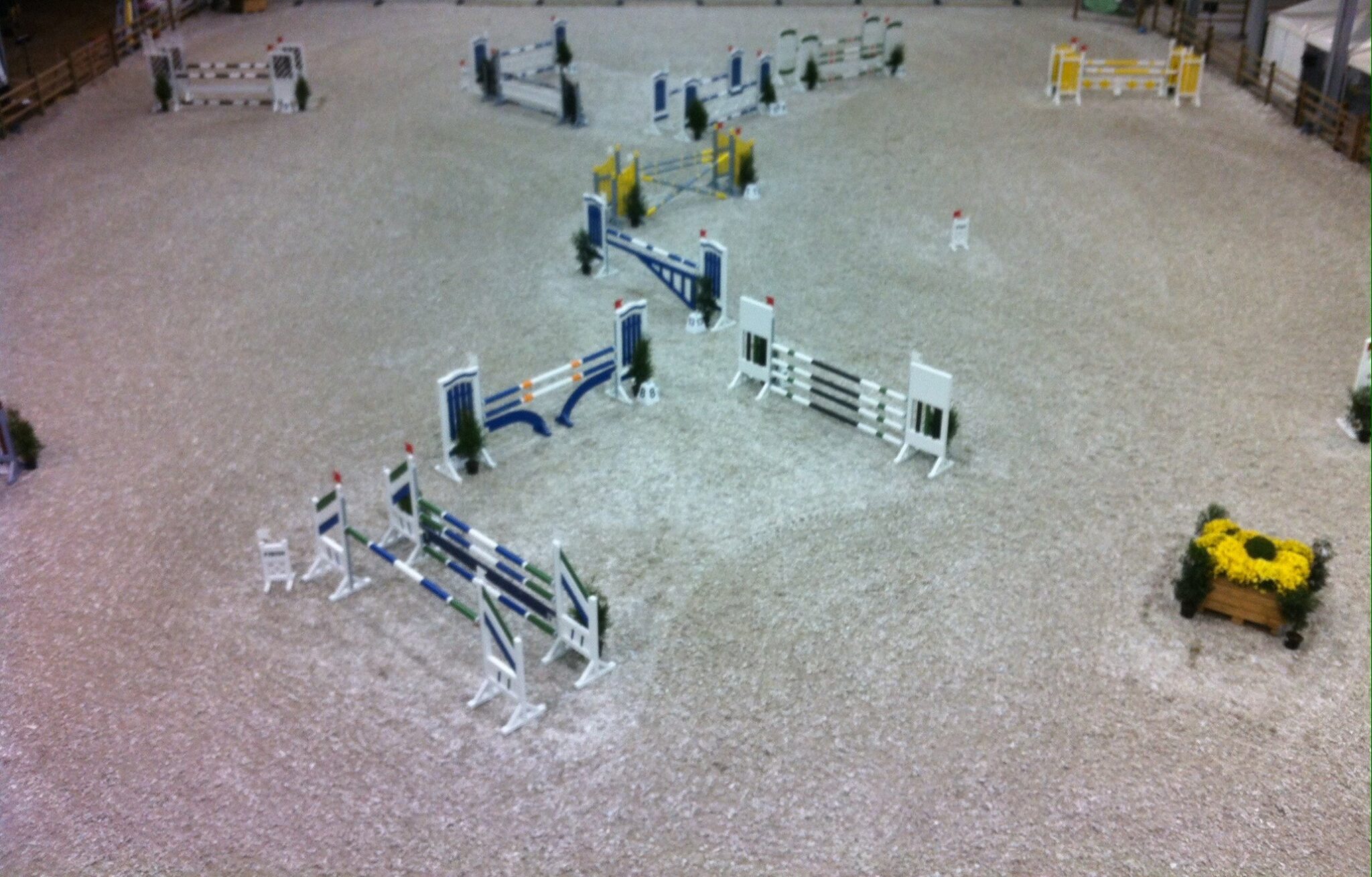 Training – Belgian Showjumping Academy